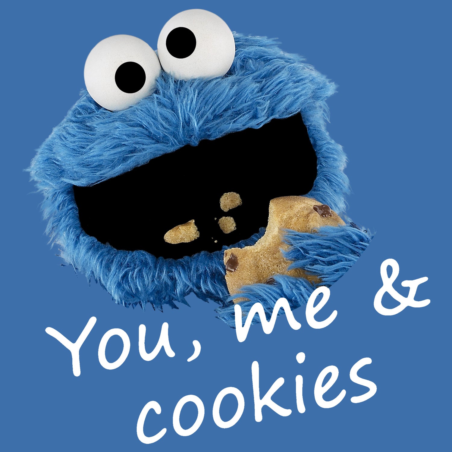 Sesame Street Cookie Monster You & Me Official Women's T-Shirt (Royal ...
